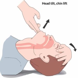 NREMT Study Guide | Airway, Breathing & Ventilation